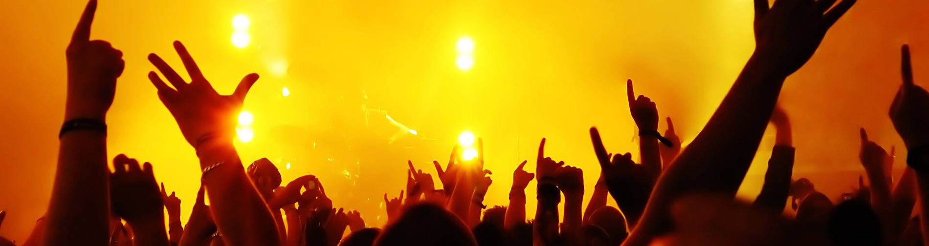 Crowd Systems | Let us help design the staffing for your event